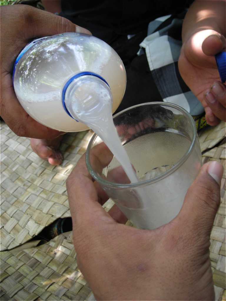 kebun siwalan: Pohon Lontar Jeneponto butuh Industri Gula