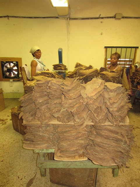 Cuban Cigars, Culture & Lifestyle: H.Upmann cigar factory (Havana)