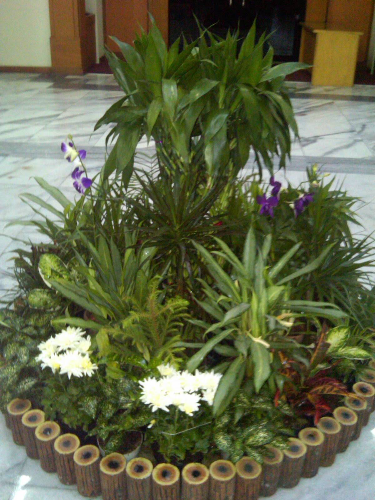 rental tanaman surabaya: DEKORASI TAMAN (MINI GARDEN)