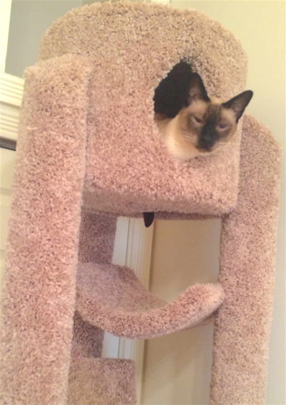 Heavens To Mergatroyd Cat Tree heavens-to-mergatroyd-cat-tree