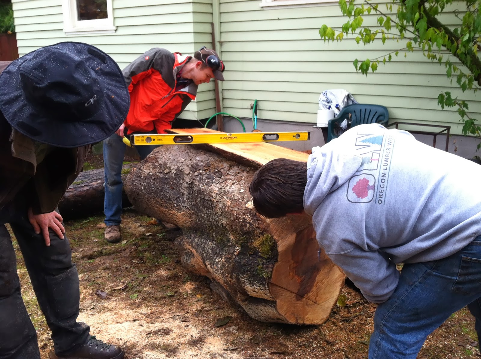 Five Fifths Furniture: The largest Apple tree in the world meets its match