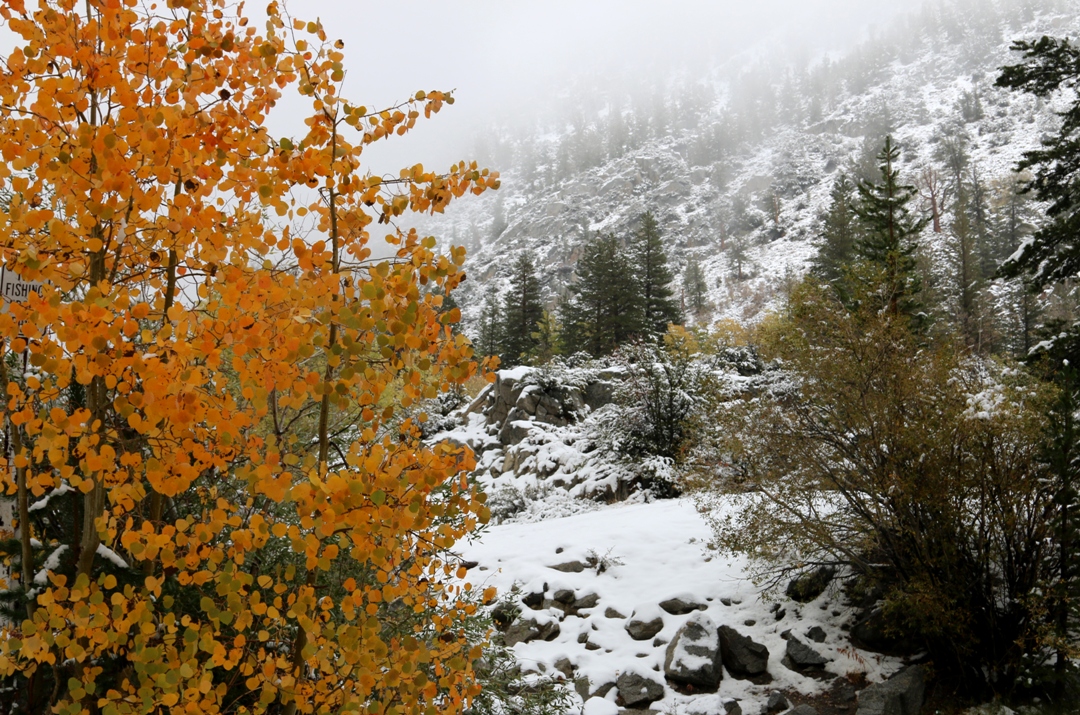 A photo, A thought............: Place: Aspendell, a hidden gem in the ...