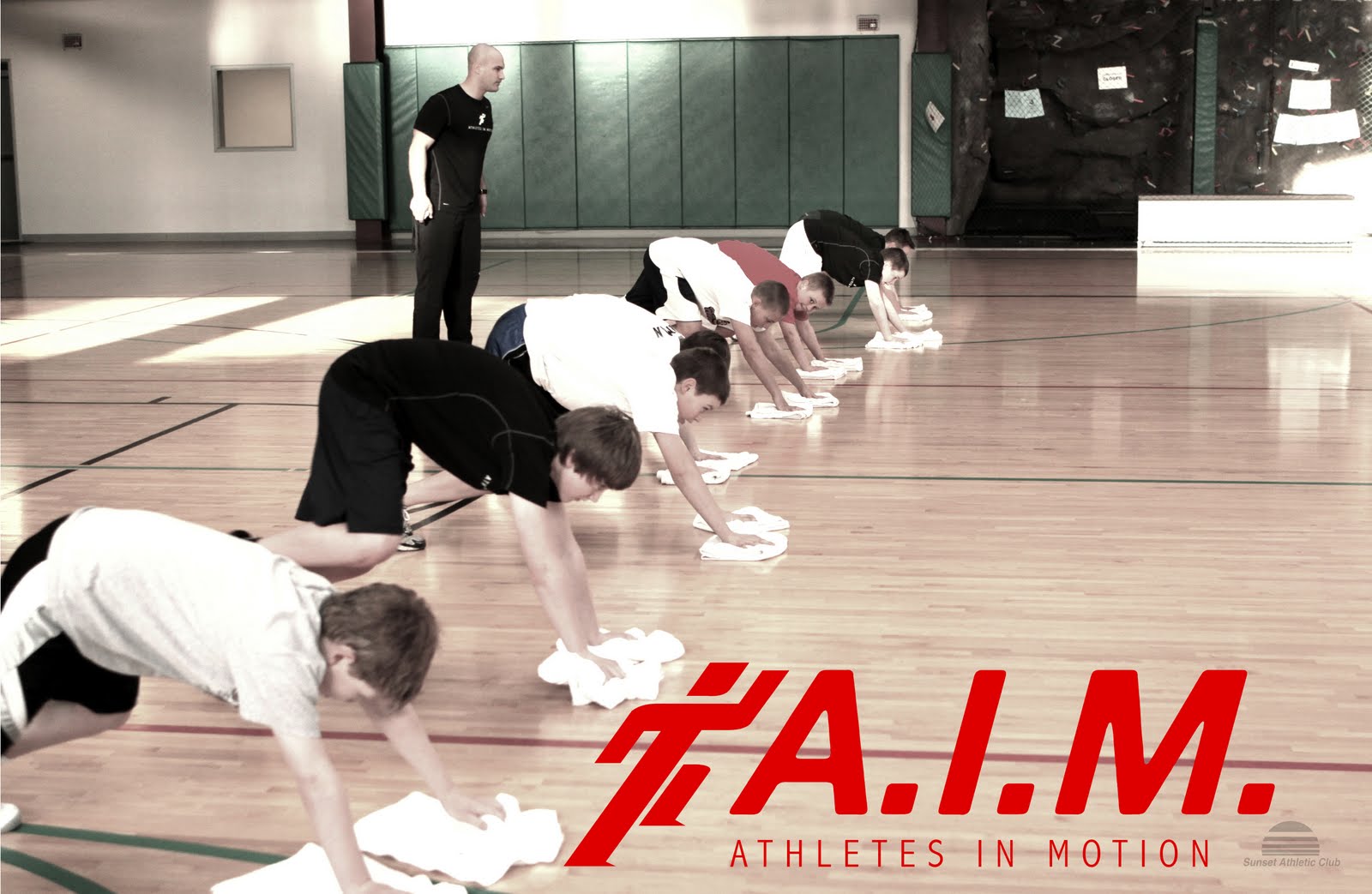 AIM Blog Athletes In Motion - Sports Performance Training & Baseball