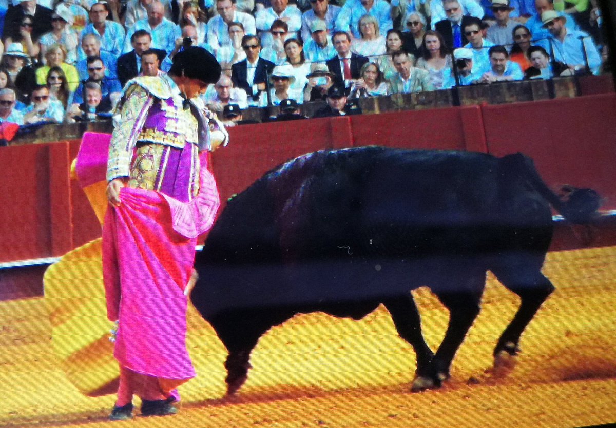 Fiesta Taurina en el Peru: El arte de torear con el capote