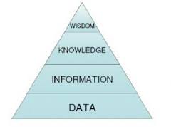 Perbedaan Data, Informasi, Pengetahuan, dan Wisdom | Hirarki Informasi ...