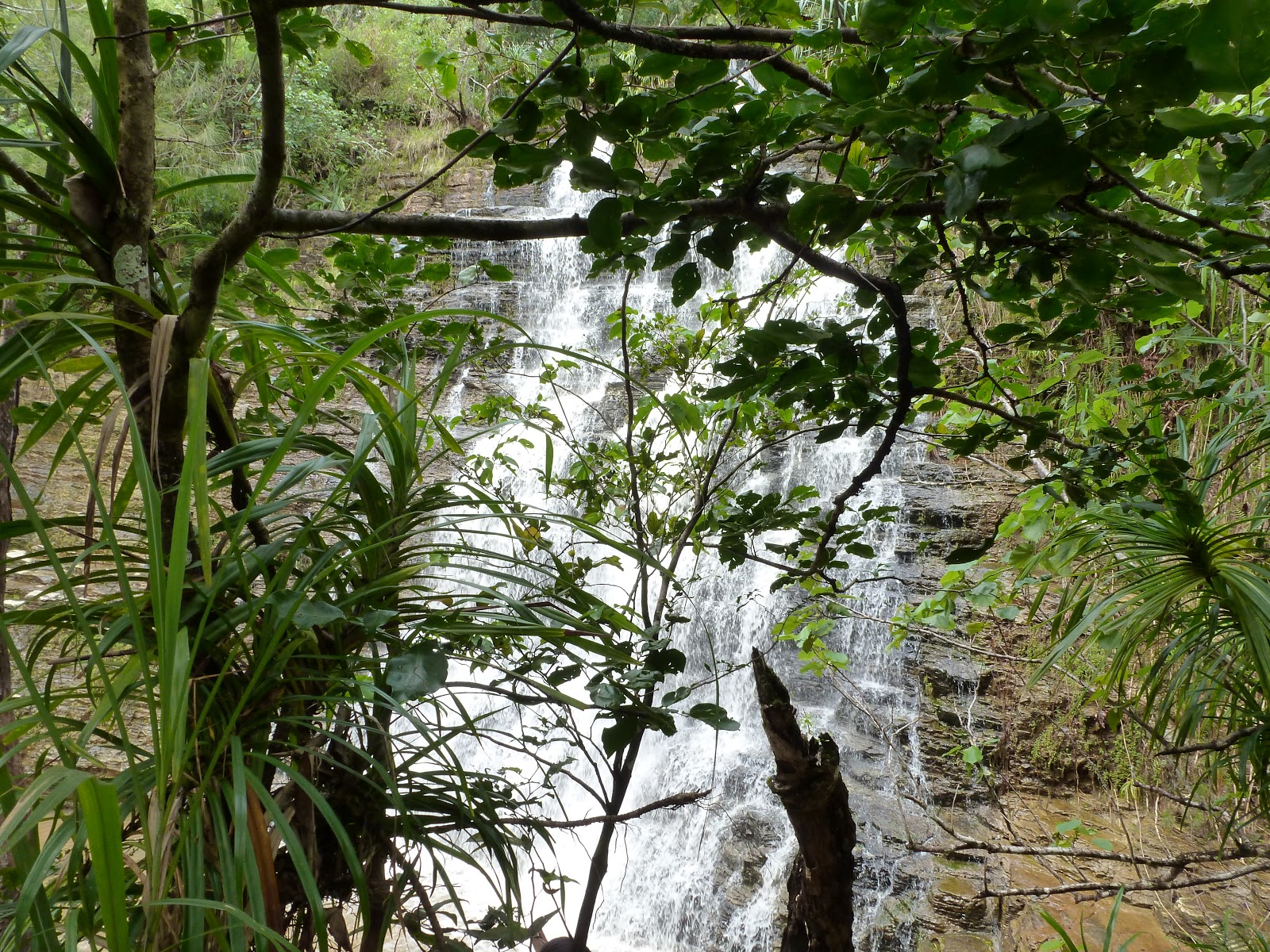 Guamaniacs: Boonie Stomping: Tarzan Falls
