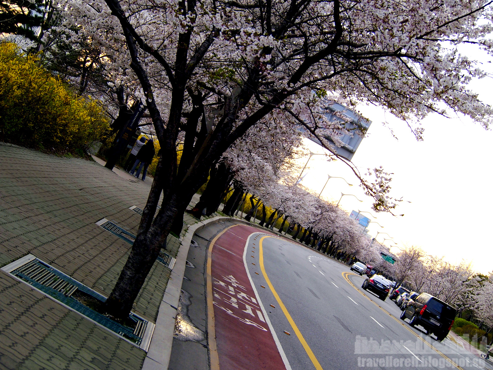 Things to do in Yeouido (여의도) - Travellerelf