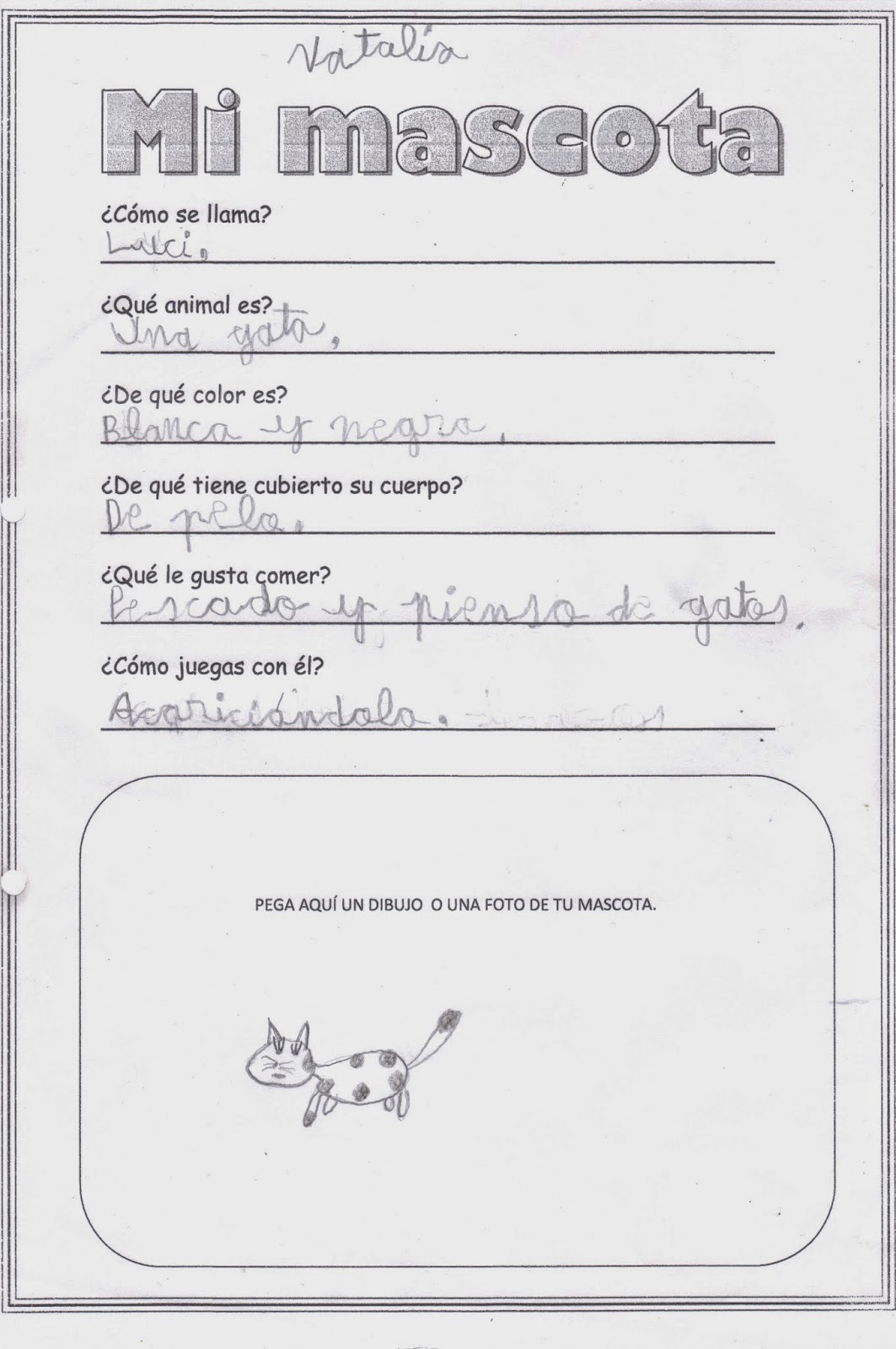 PIRATAS 2019: MI MASCOTA