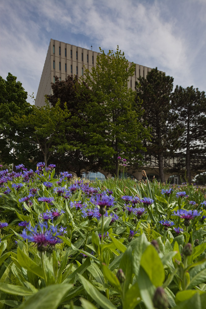 Perspective control with the new Canon TS-E 24mm f/3.5L II tilt/shift lens