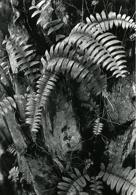 Ezile Bay - Ghana - Des nouvelles de Jean Pierre Evrard - Paperblog