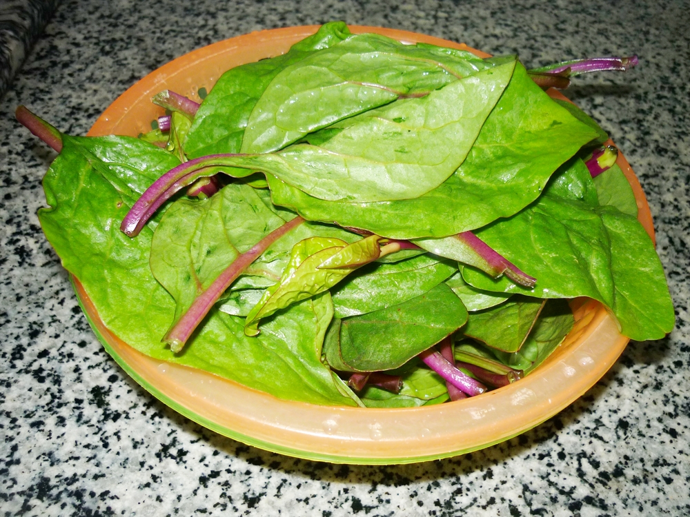 aunty celia's family meals: Red stemmed emperor vegetable (王帝菜) soup
