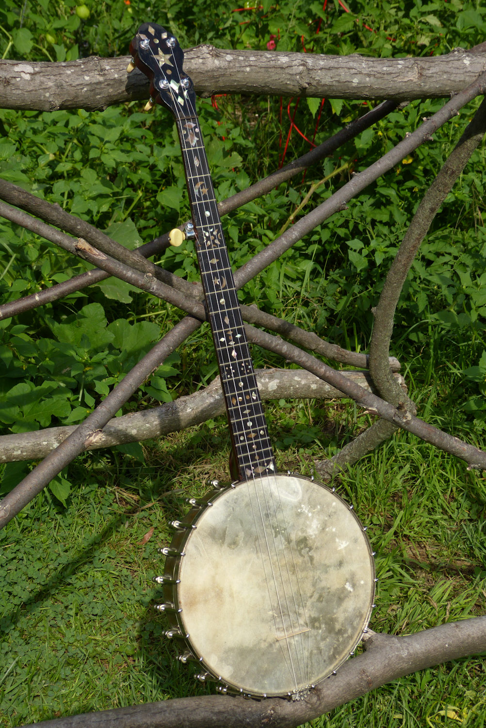 1890s Buckbee-made Dobson "Great Echo" 5-String Banjo