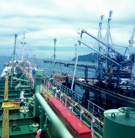 Longside jetty Teluk kabung Pertamina