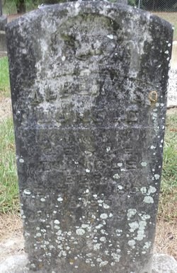 Roots From The Bayou: Charles and Octavia Leland Duncle Descendants