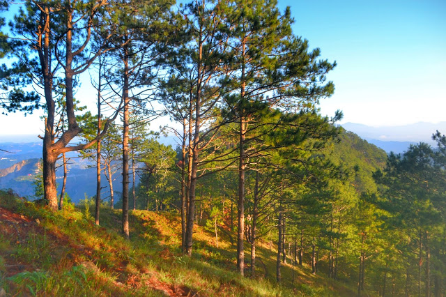 Mt. Ulap | A DIY Dayhike - The Pinoy Traveler