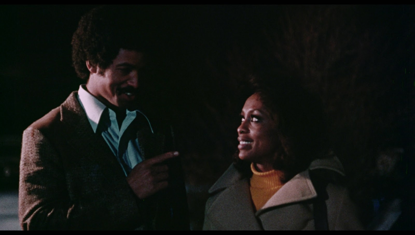 The Department of Afro American Research, Arts and Culture