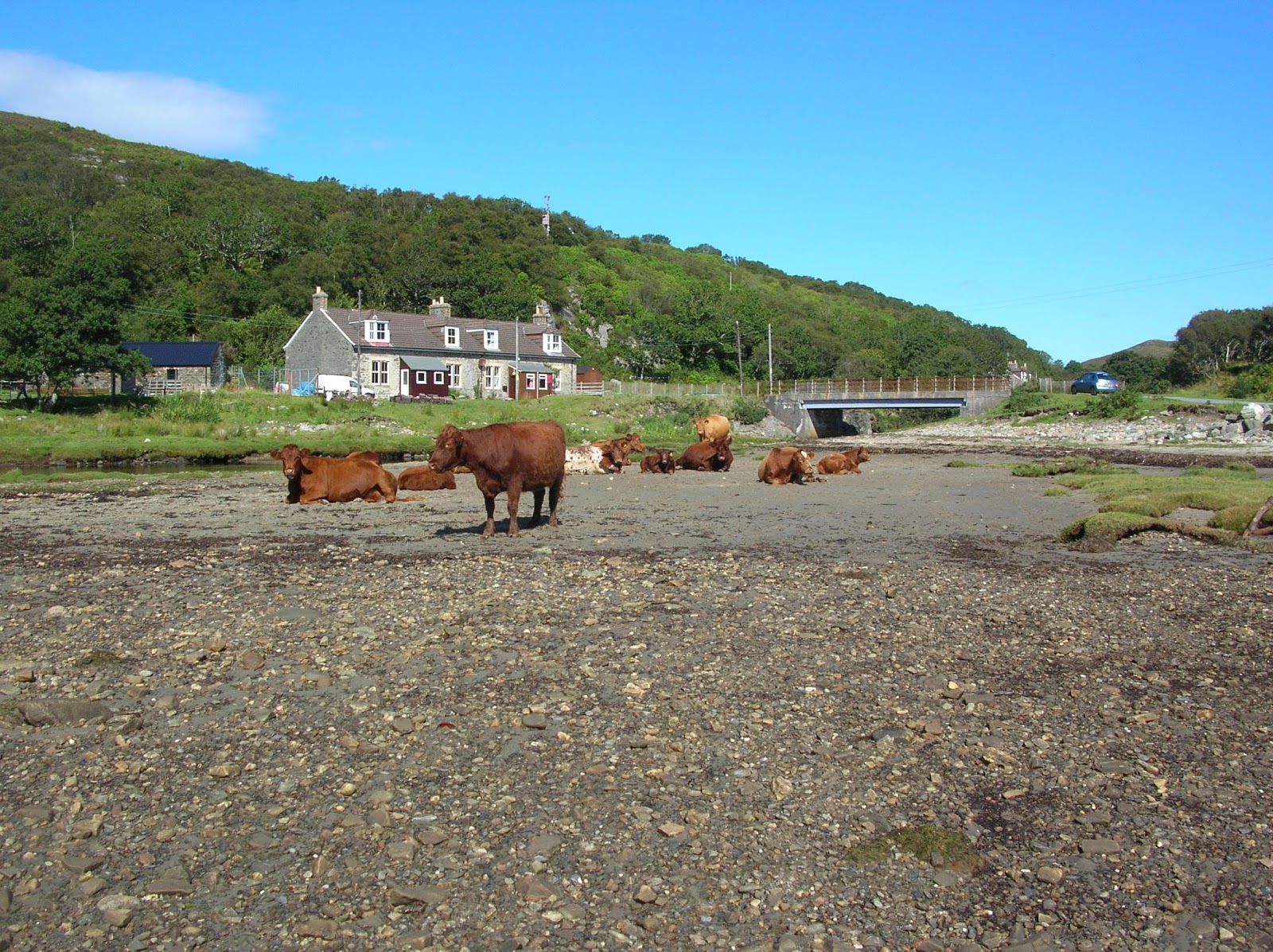 A lifetime of Islands: Island 28 - Jura, Inner Hebrides