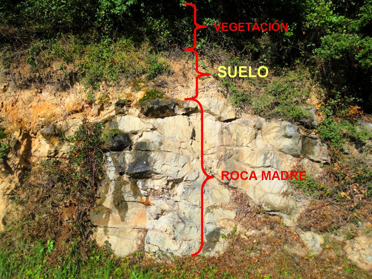 Ciencias Naturales: Tipos de suelo; Roca Madre