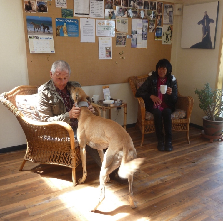 Nightrave greyhounds blog: Meet the kennel sponsors: Ben Craik and family