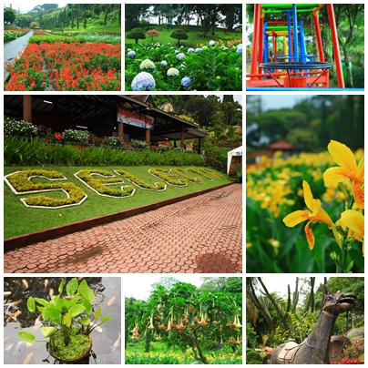 Taman Rekreasi Selecta dengan Ciri Khas Sebagai Obyek Wisata yang Alami ...