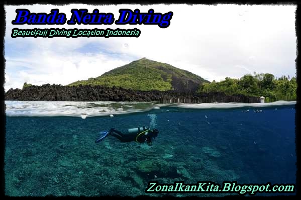 Diving Banda Neira | Malioboro