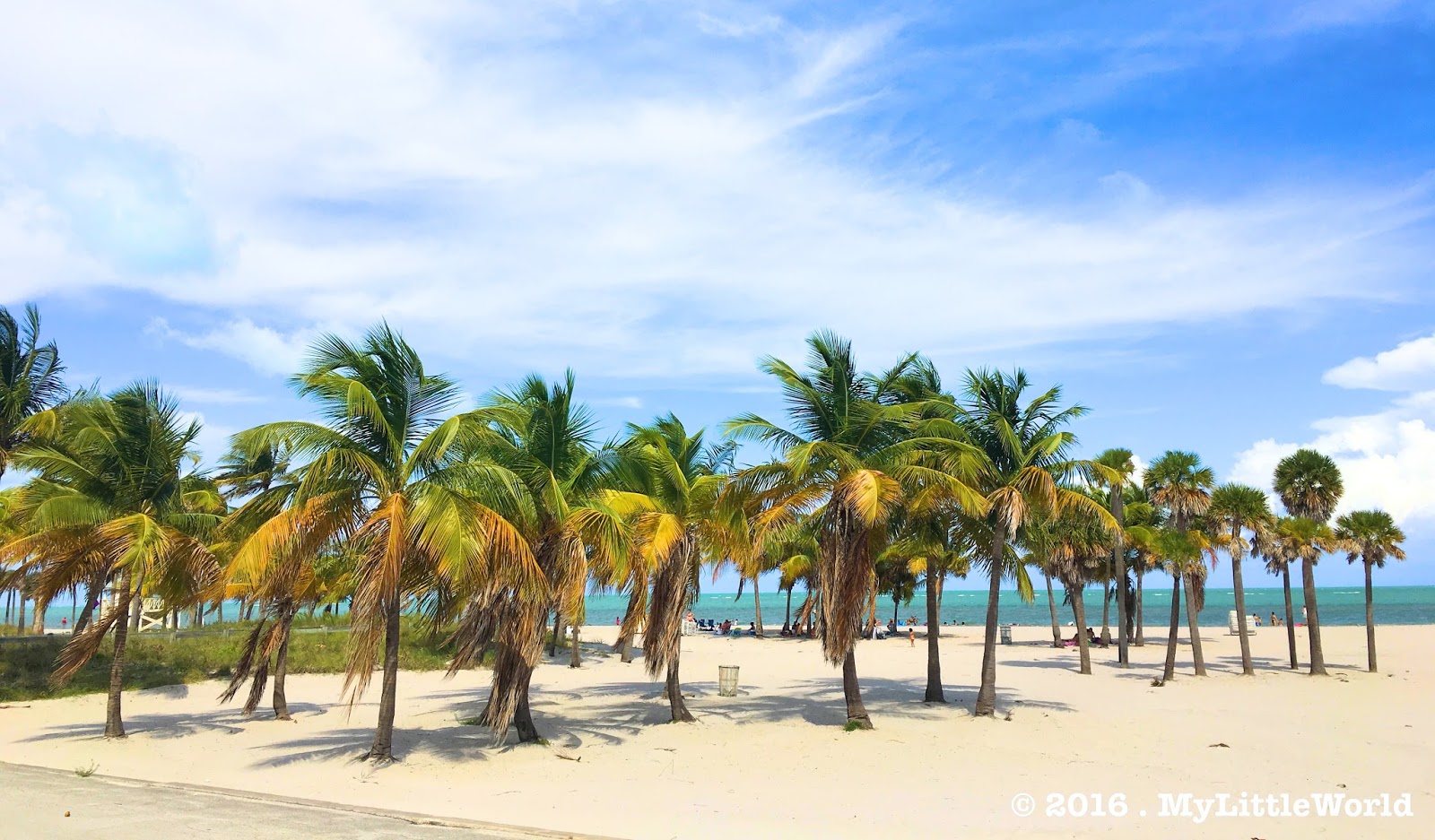 The Crandon Park Beach, Key Biscayne, Miami | My Little World