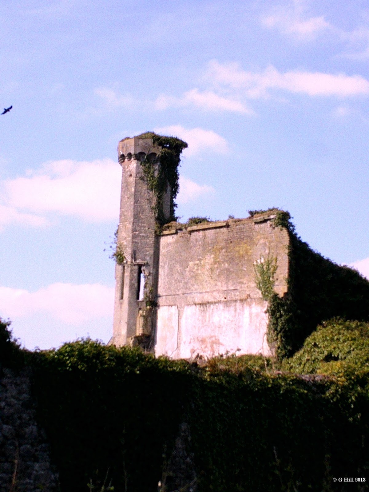 Ireland In Ruins: Moydrum Castle Co Westmeath