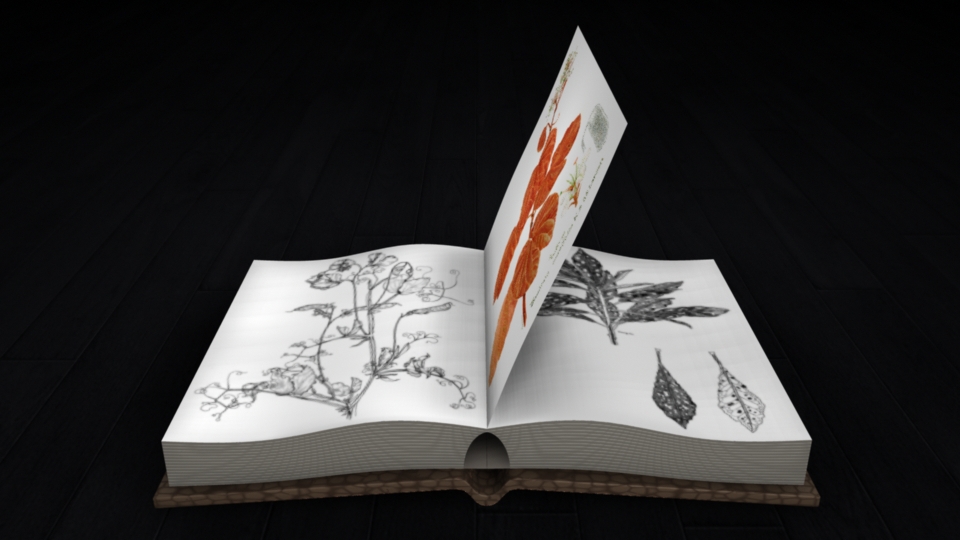 Burokas Design: Book render