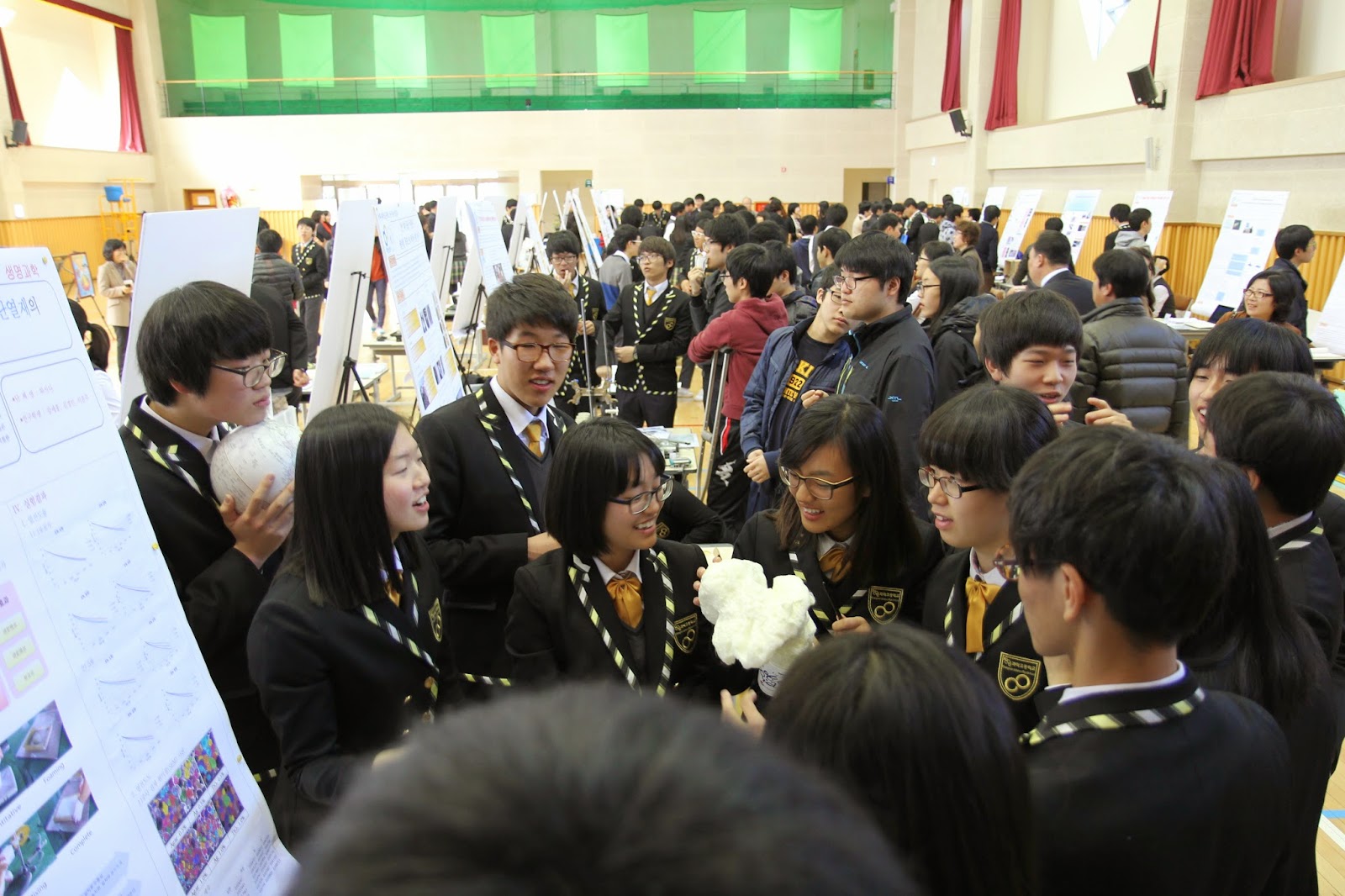 Andrew goes to Korea: The Science Fair