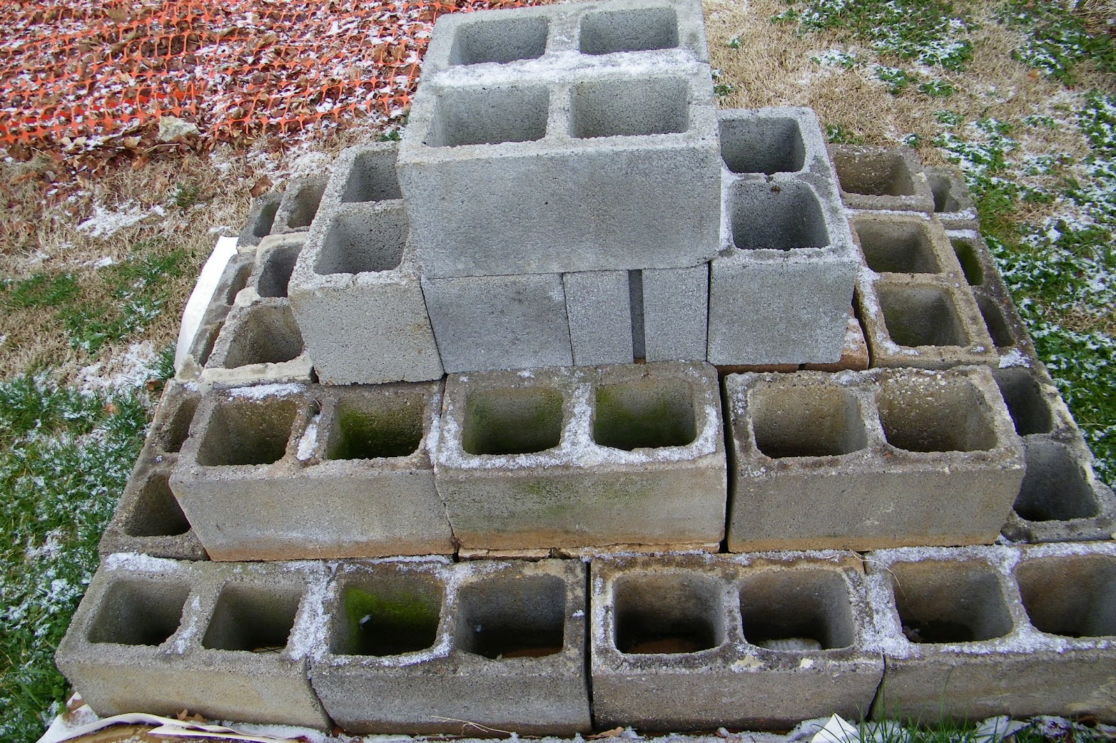 Eclectic Momma: Garden Update