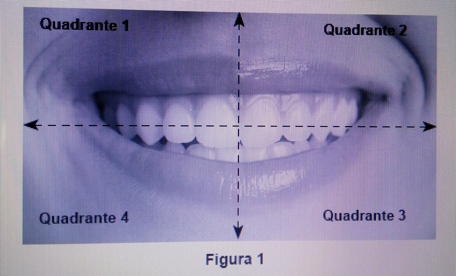 Professor Luiz Bolinha: TREINAMENTO ENEM 2017 – COMENTADO (SIMULADO SAS ...