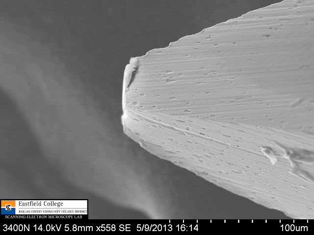 Scanning Electron Microscope Blog: How Sharp is a Hypodermic Needle?