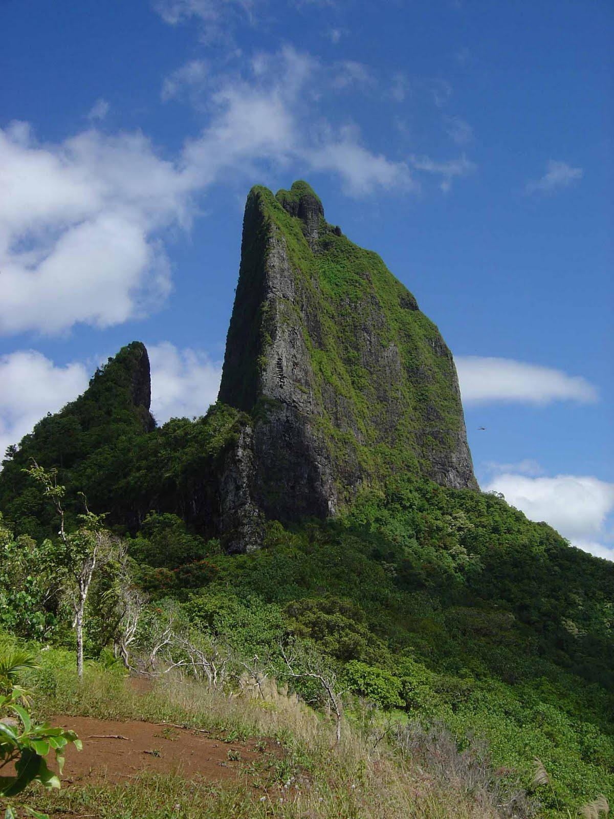 HIRO HIKING MOOREA: COL 3 COCOTIERS
