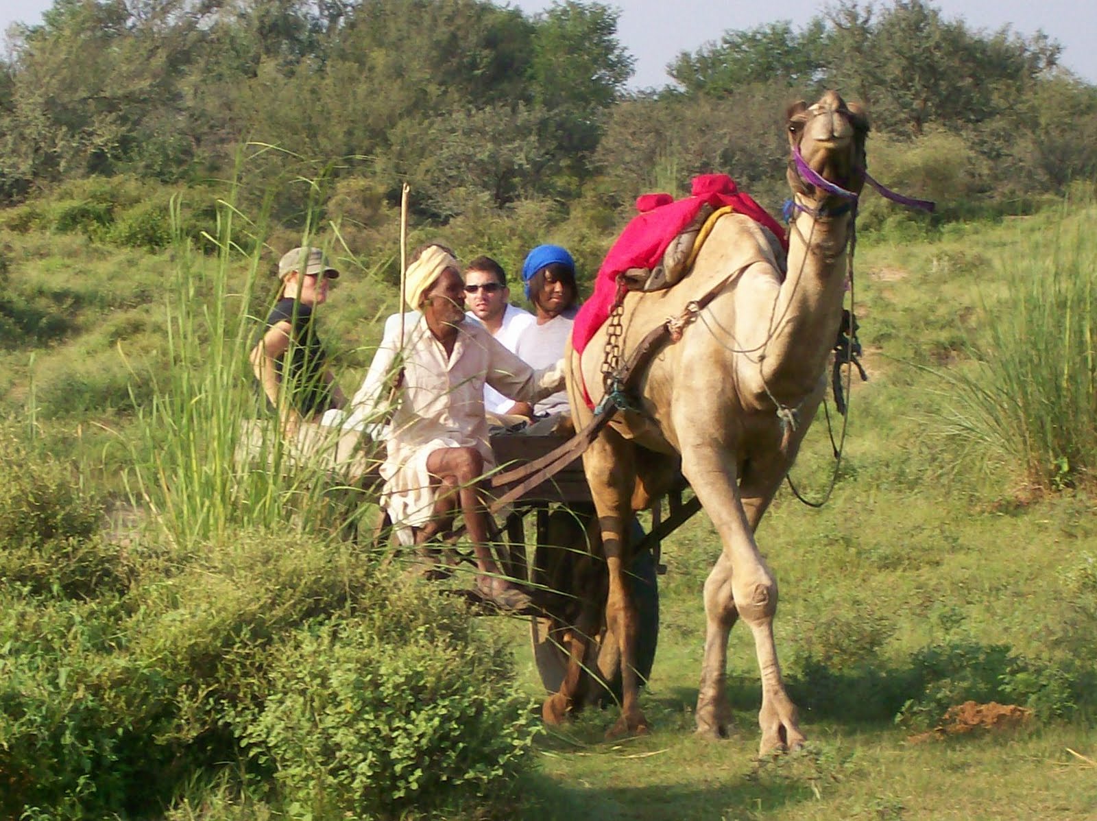 Incredible Rajasthan...!!: Incredible Rajasthan Tourism ? Incredible ...