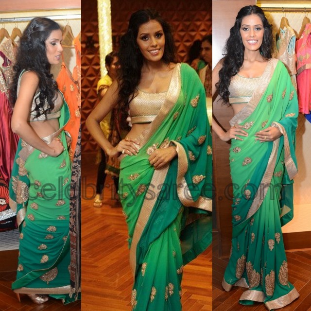 Shantanu and Nikhil Designer Sarees - Saree Blouse Patterns