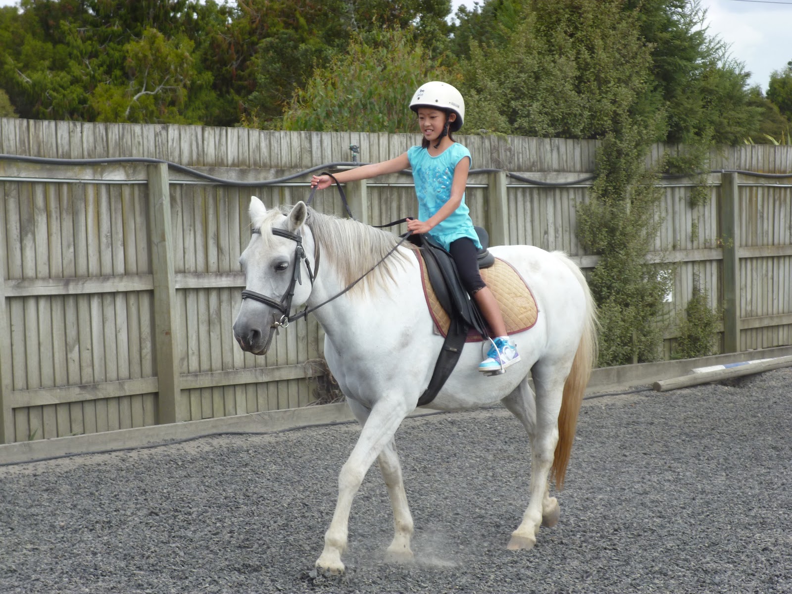 FABULOUS FIFTEEN AT BDS2013: Year 5 Camp at Sonshine Ranch