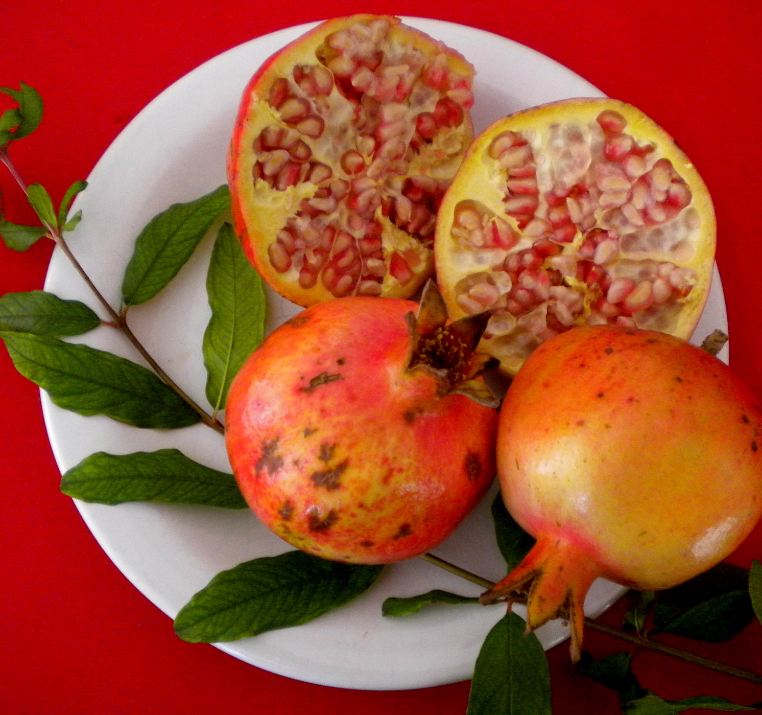 v e r d e c h a c o: Granada