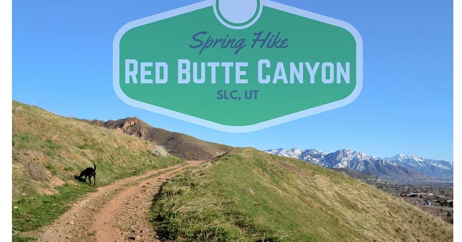 Katie Wanders : Spring Hike: Red Butte Canyon Area