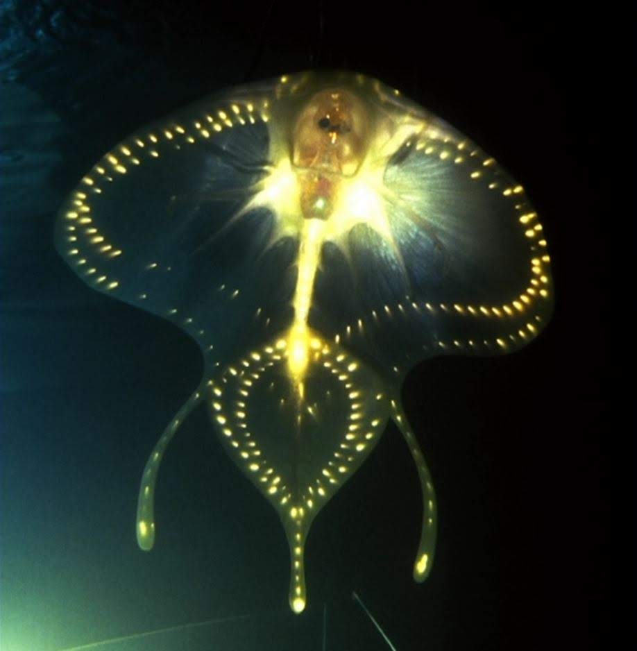 model ships in the cinema: The Abyss 1989 Part 4