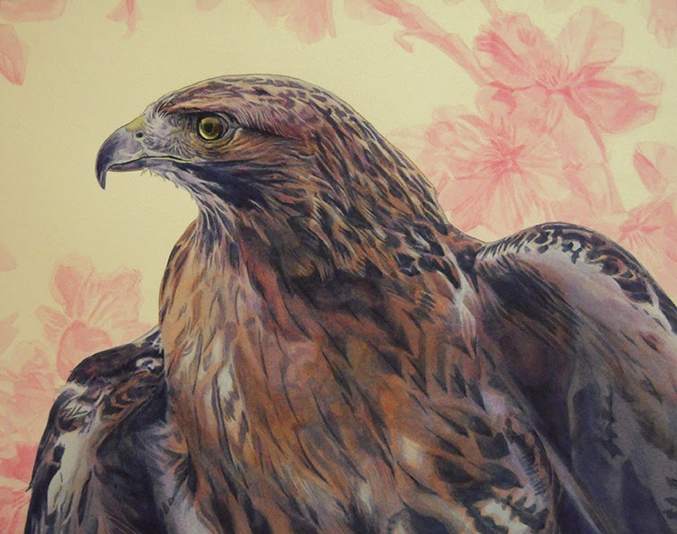 Alan Hawley Illustration: Red Tailed Hawk Acrylic Painting