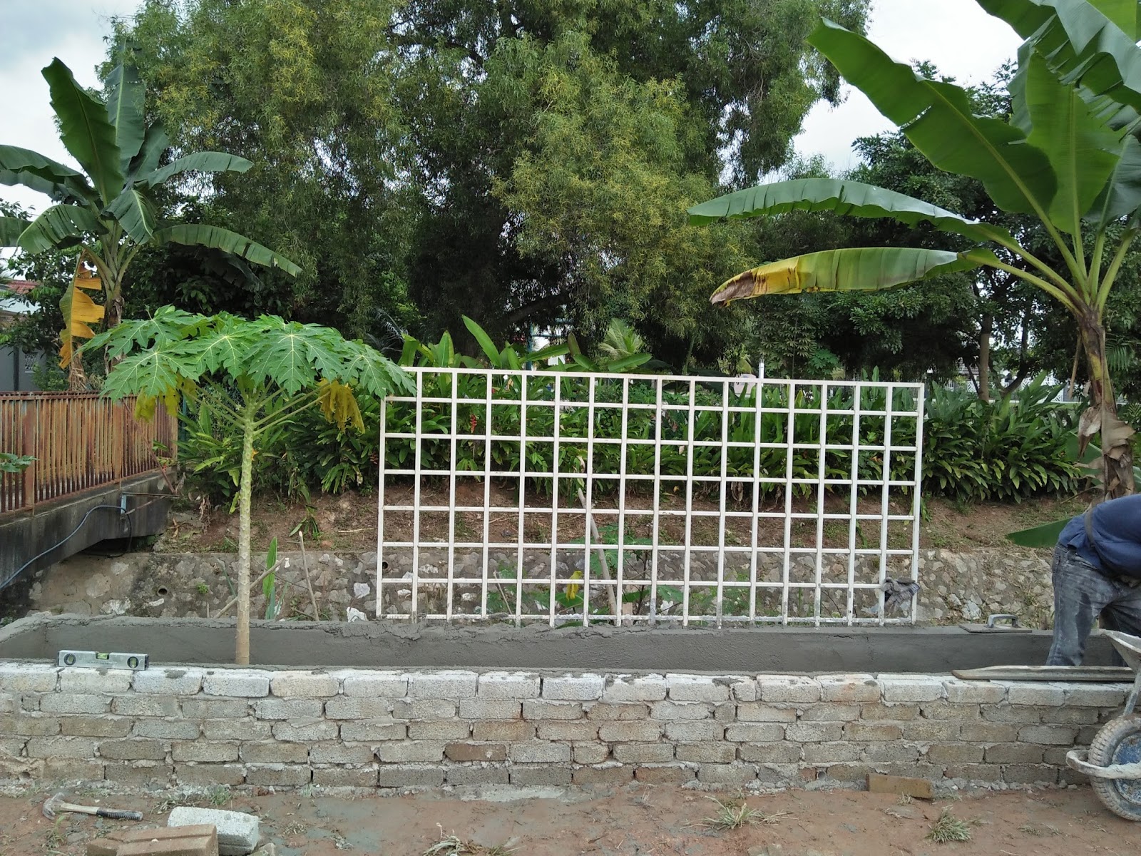 Fuziah Sulaiman blog: Jom kenali flora BUNGA TELANG di Laman 1A : Laman ...