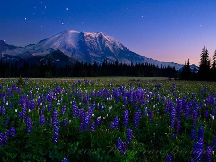 Best WallPapers: Beautiful blue of nature Best Wallpapers