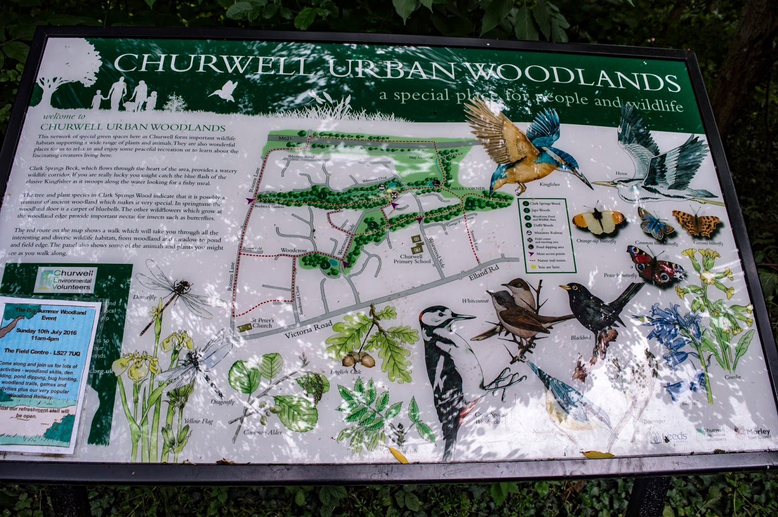 Pam's Place: Churwell Urban Woodlands