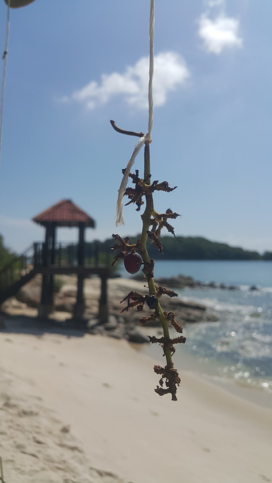 If you want to know something.. you are at the best place..: Sri Lanka ...