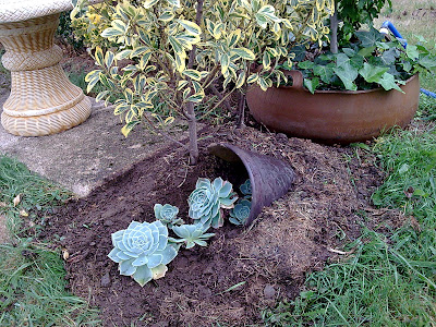 Aprendiz: reutilizar maceta rota