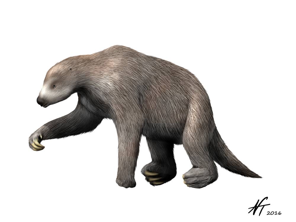 Shasta Ground Sloth