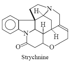 Strychnine- found in the seeds of Strychnos Nux Vomica