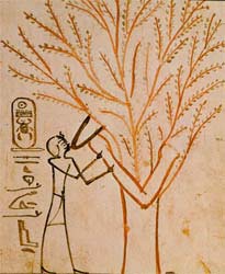 KidsAncientEgypt.com: 3 Ancient Egyptian Quotes To Live By