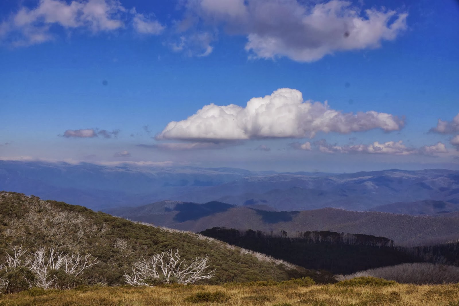 2014 Victoria High Country 4x4: Day 2 - Going up Mt Pinnibar