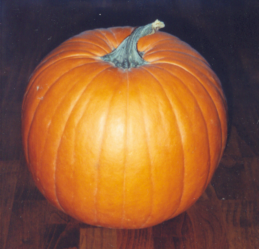 Awetya: Images Free pumkin pictures download